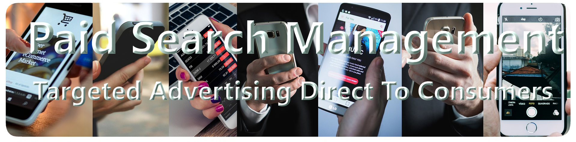 PPC Management - Paid Search Agency | Hogfish Media | 1-800-817-4501